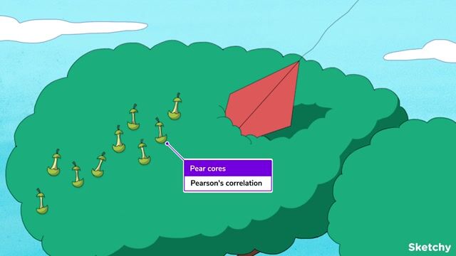 Correlation - Free Sketchy MCAT Lesson