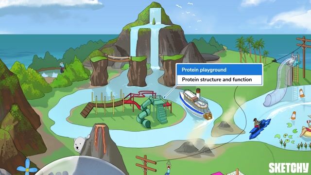 SketchyLand Amino Island Mind Map - Free Sketchy MCAT Lesson