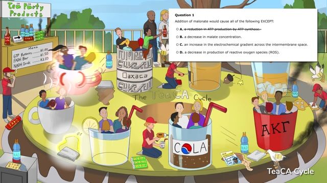 MCAT Walkthrough: Aerobic Metabolism - Questions - Free Sketchy MCAT Lesson