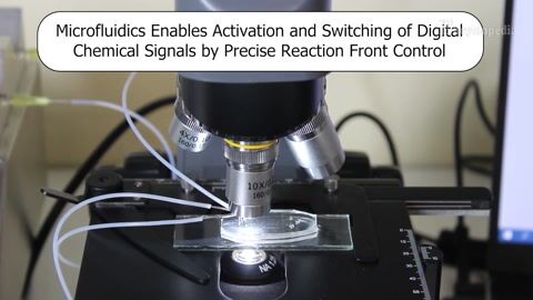 Supramolecular Chemical Signals in Multi-Output Microfluidic Devices | Encyclopedia MDPI