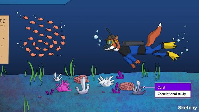 Ecological Studies - Free Sketchy MCAT Lesson