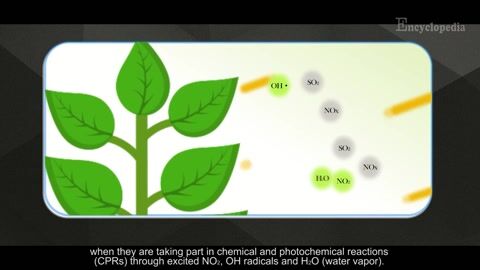 Application of Ozone Empirical Model | Encyclopedia MDPI
