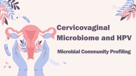 Cervicovaginal Microbiome and HPV | Encyclopedia MDPI