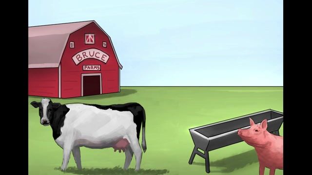 Brucella spp. - Free Sketchy Medical Lesson