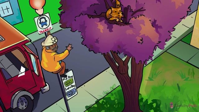 Benign Prostatic Hyperplasia (BPH) & Prostate Cancer - Free Sketchy ...