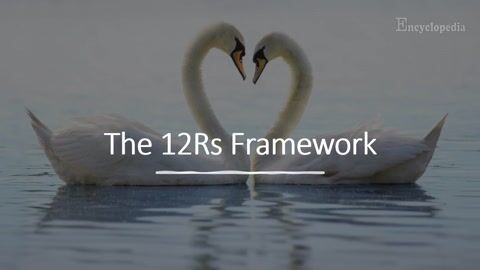 12 Rs Framework for Animal Research Ethics | Encyclopedia MDPI