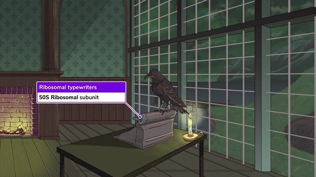 Macrolides - Free Sketchy Medical Lesson