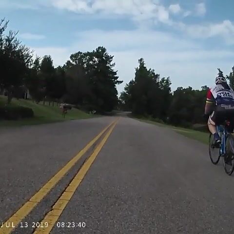 Jackson Trace chasers - UpRide.cc - Make Cycling Safer
