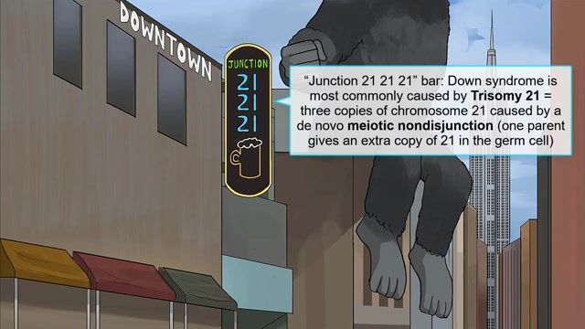 Chromosomal Syndromes 1: Trisomy 21 SOAP - Free Sketchy Medical Lesson