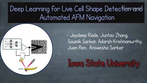 Deep-Learning Enabled Cell Shape Detection and AFM Navigation | Encyclopedia MDPI