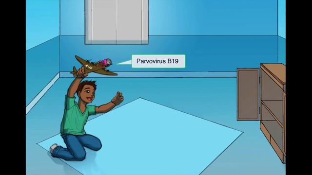Parvovirus B19 (Parvoviridae) - Free Sketchy Medical Lesson