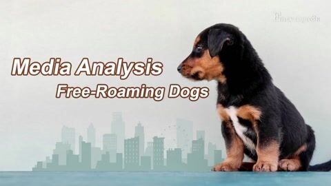 Free-Roaming Dogs in Iran | Encyclopedia MDPI