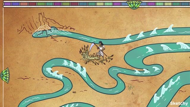 Walk Through Digestive-System Anatomy - Free Sketchy MCAT Lesson