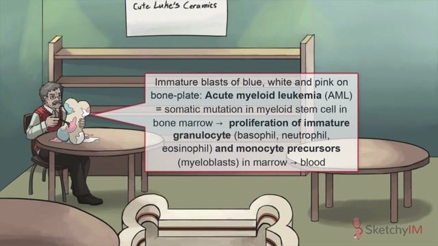 Acute leukemias SOAP - Free Sketchy Medical Lesson