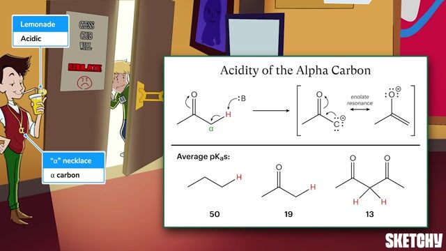 Reactions at the Alpha Carbon of Carbonyls - Free Sketchy MCAT Lesson
