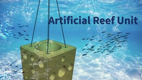 Artificial Reef Unit through Hydrodynamic and Structural Models ...