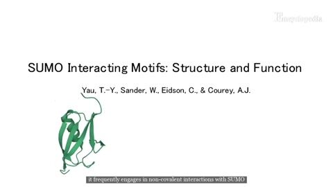 SUMO Interacting Motifs | Encyclopedia MDPI
