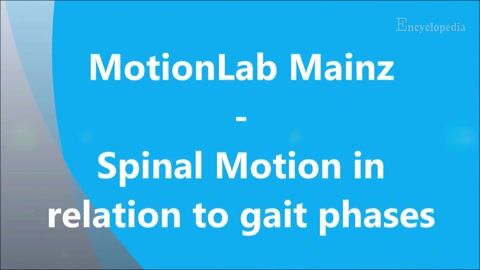 Using Surface Topography to Visualize Spinal Motion During Gait ...