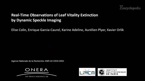 Leaf Vitality via Dynamic Speckle Imaging | Encyclopedia MDPI